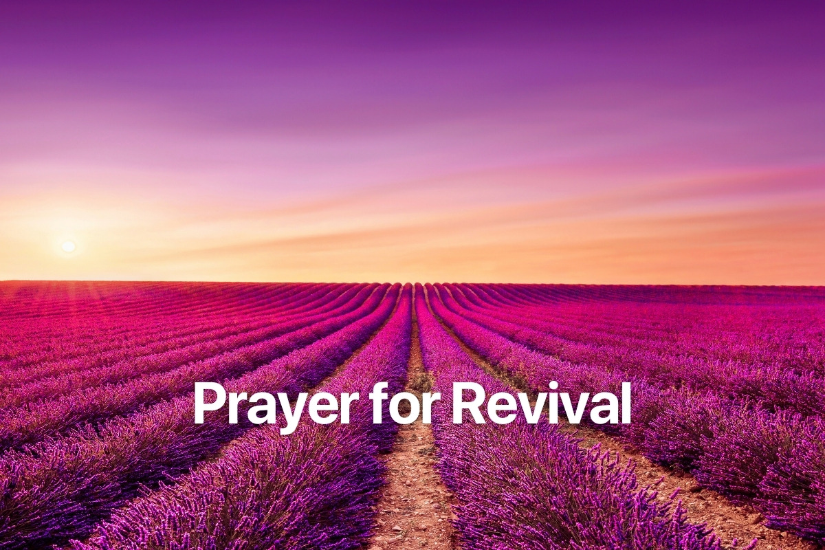 Revive Our Hearts: A Powerful Prayer for Spiritual Renewal and Hope
